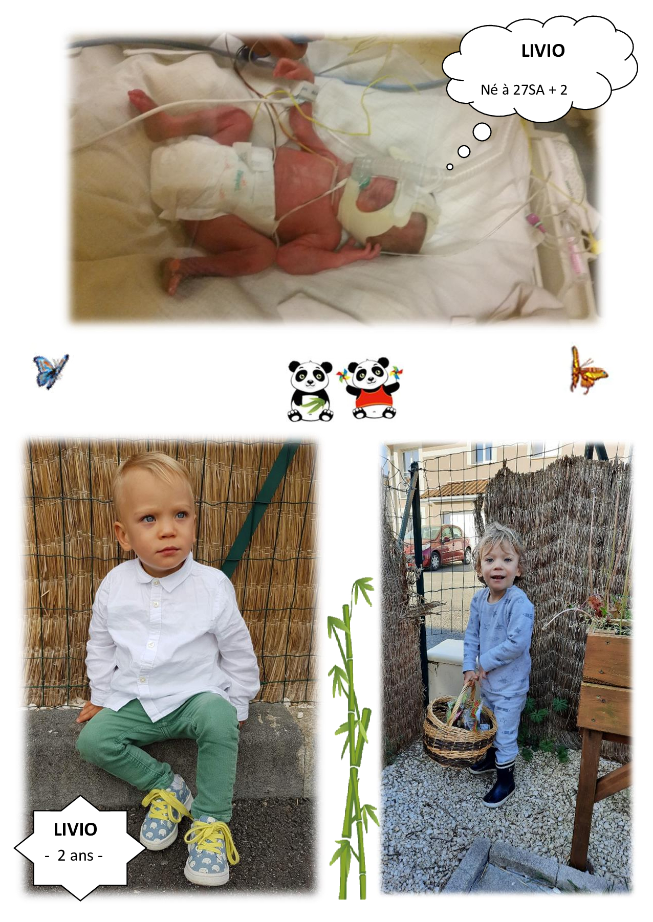L’histoire de Livio – Les Bébés Plumes